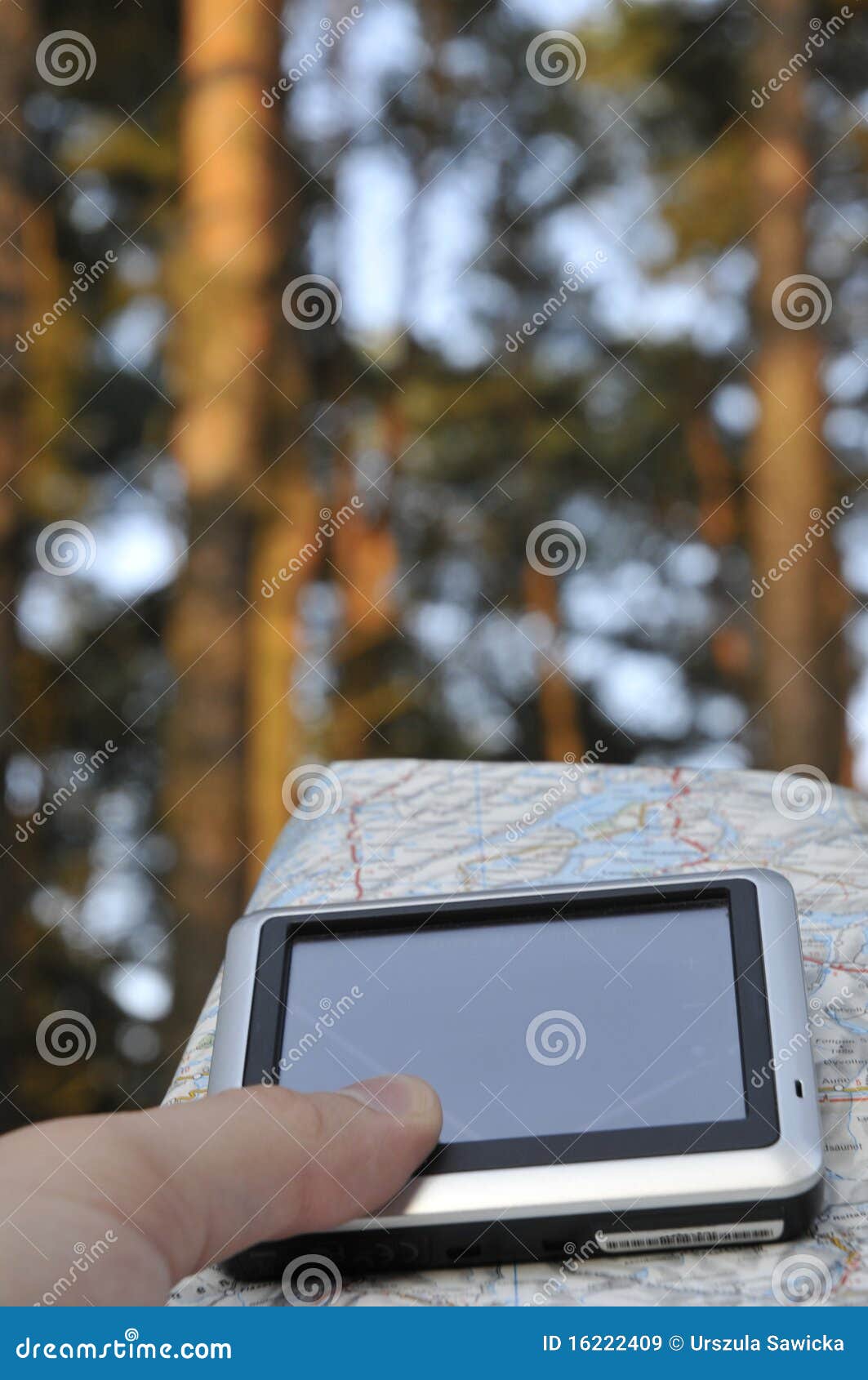 Navigating in the forest stock image. Image of road, compass - 16222409