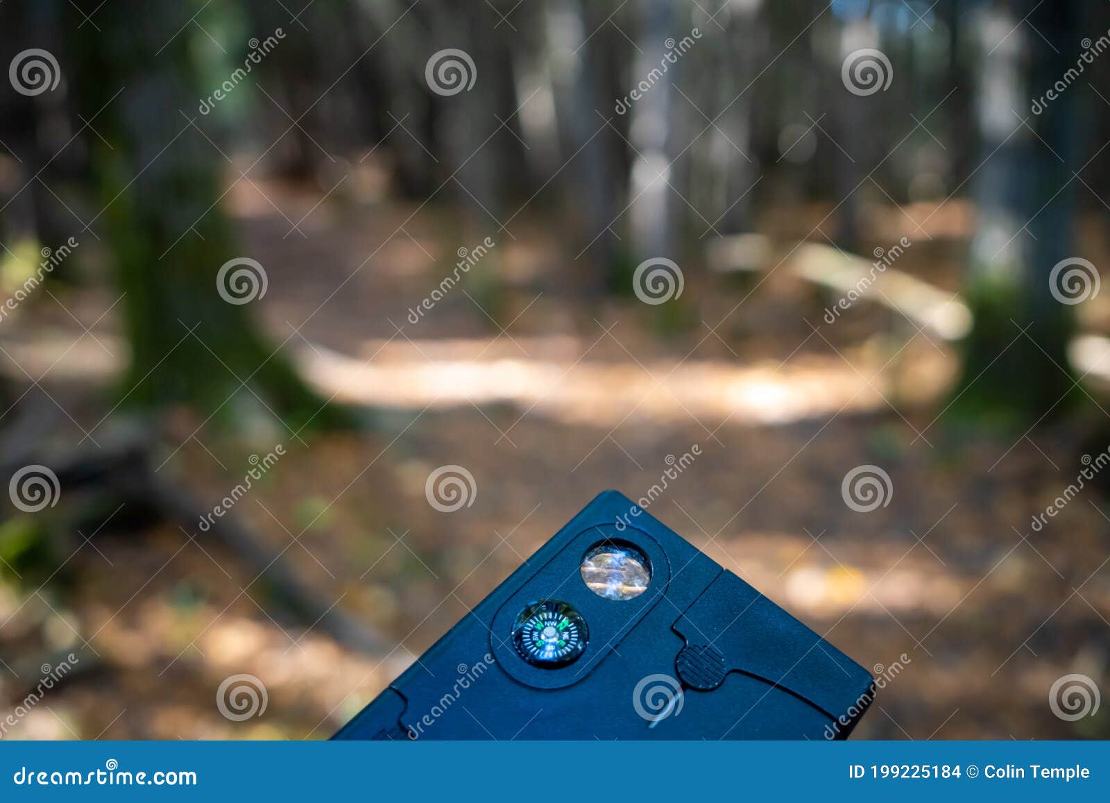 Navigating the Forest with a Mini Compass Stock Photo - Image of forest ...