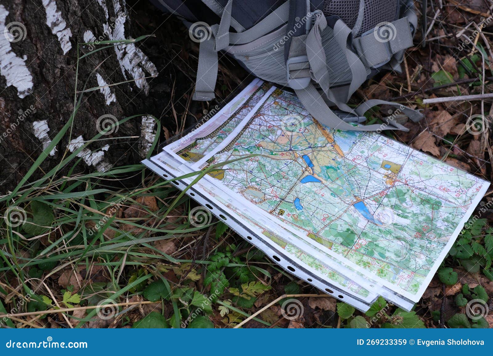 Navigating with Map and Compass Stock Image - Image of walking, outside ...