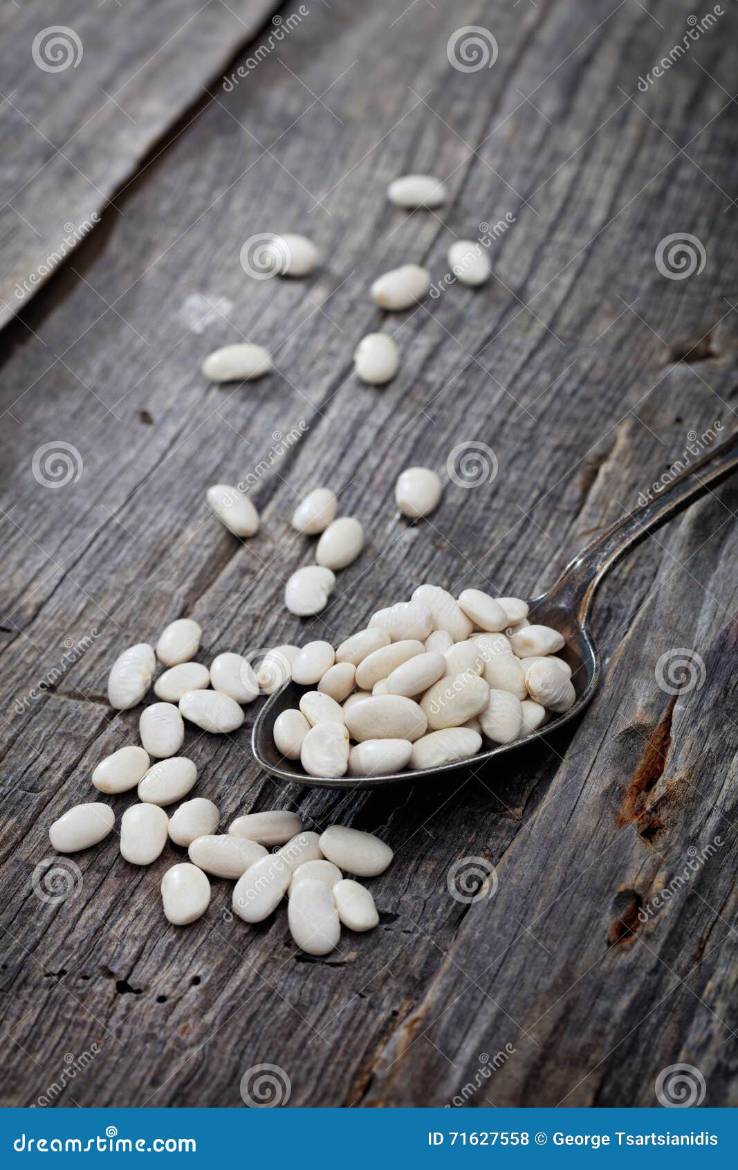 Navy beans on spoon stock photo. Image of food, nutrition - 71627558