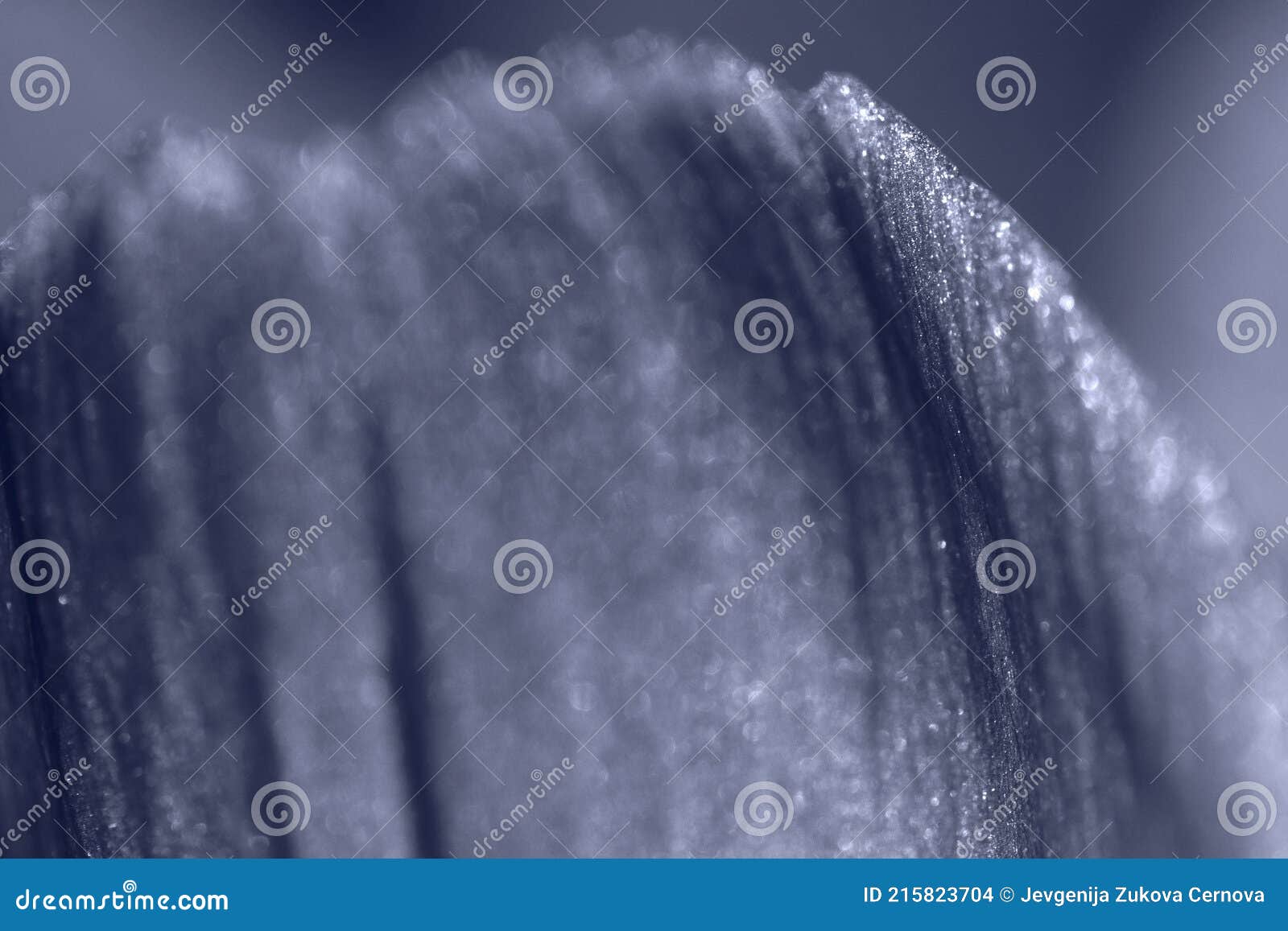 Navy Blue Abstract Floral Nature Background Stock Photo - Image of ...