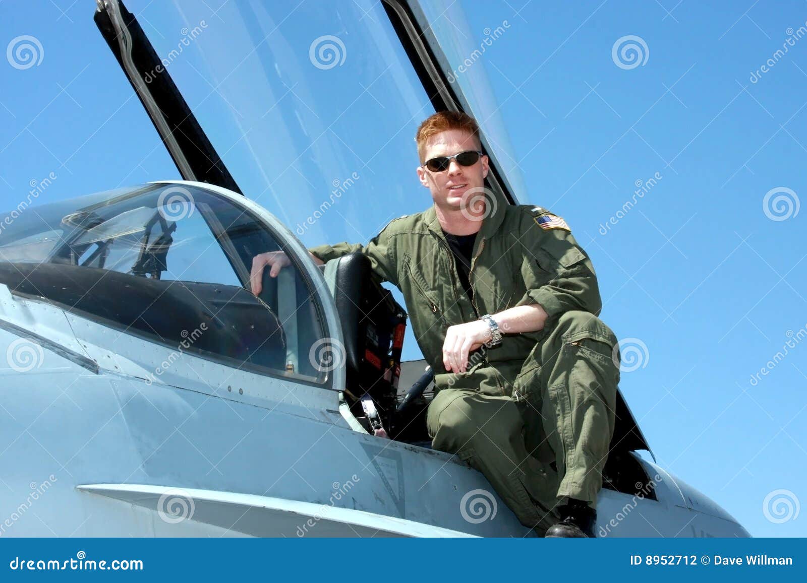 Navy pilot stock photo. Image of military, hornet, navy - 8952712