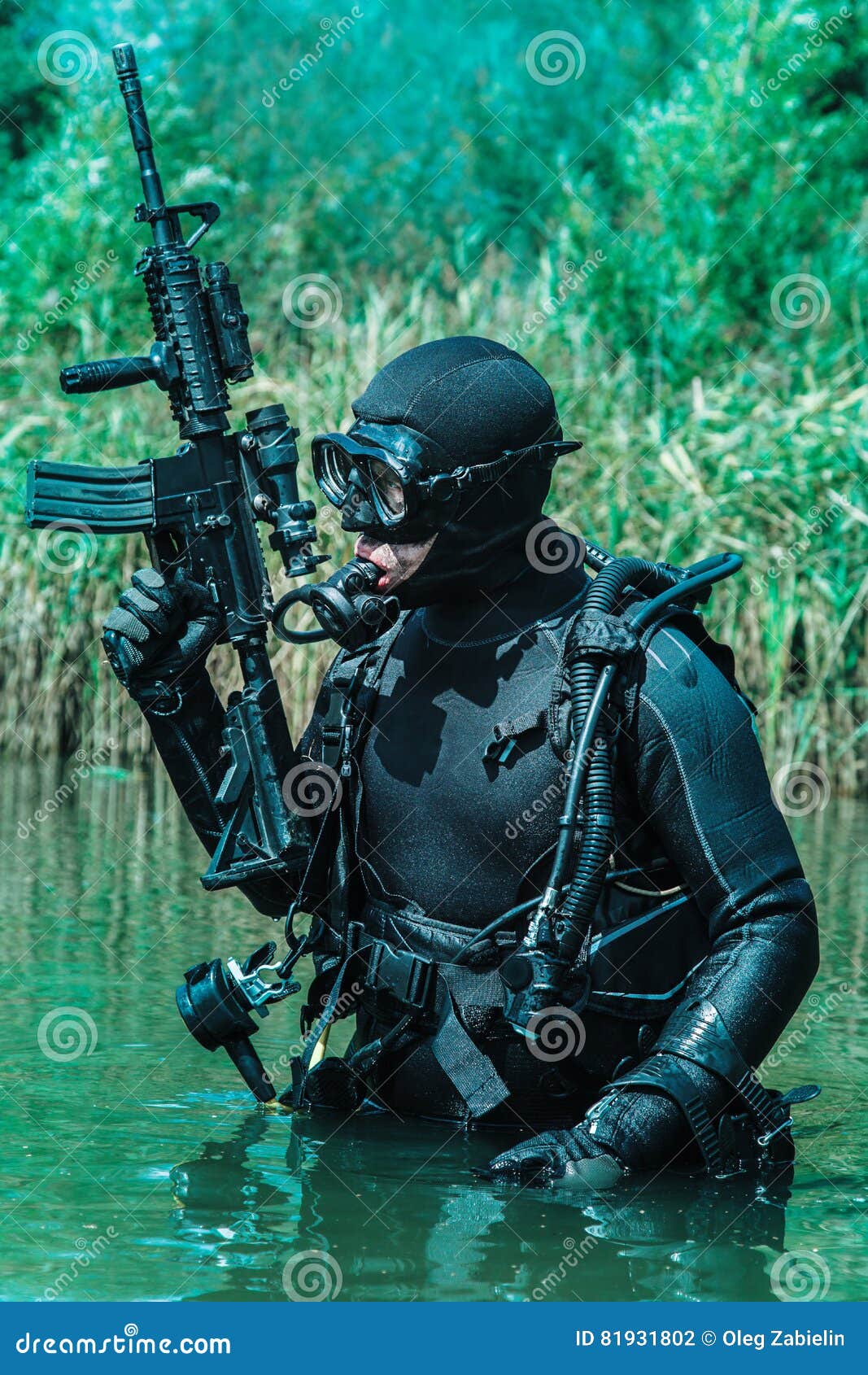 Navy SEAL frogman stock photo. Image of frogman, green - 81931802