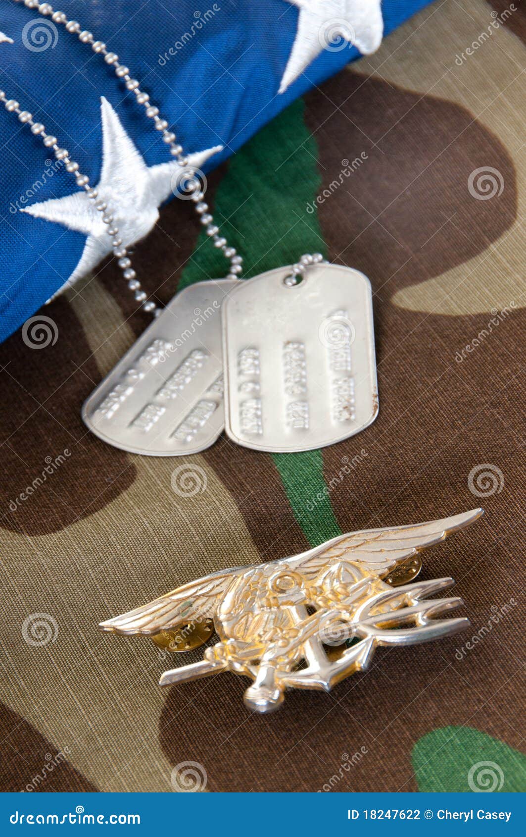 Navy SEAL Trident on Camoflauge Stock Photo - Image of patriot, special ...