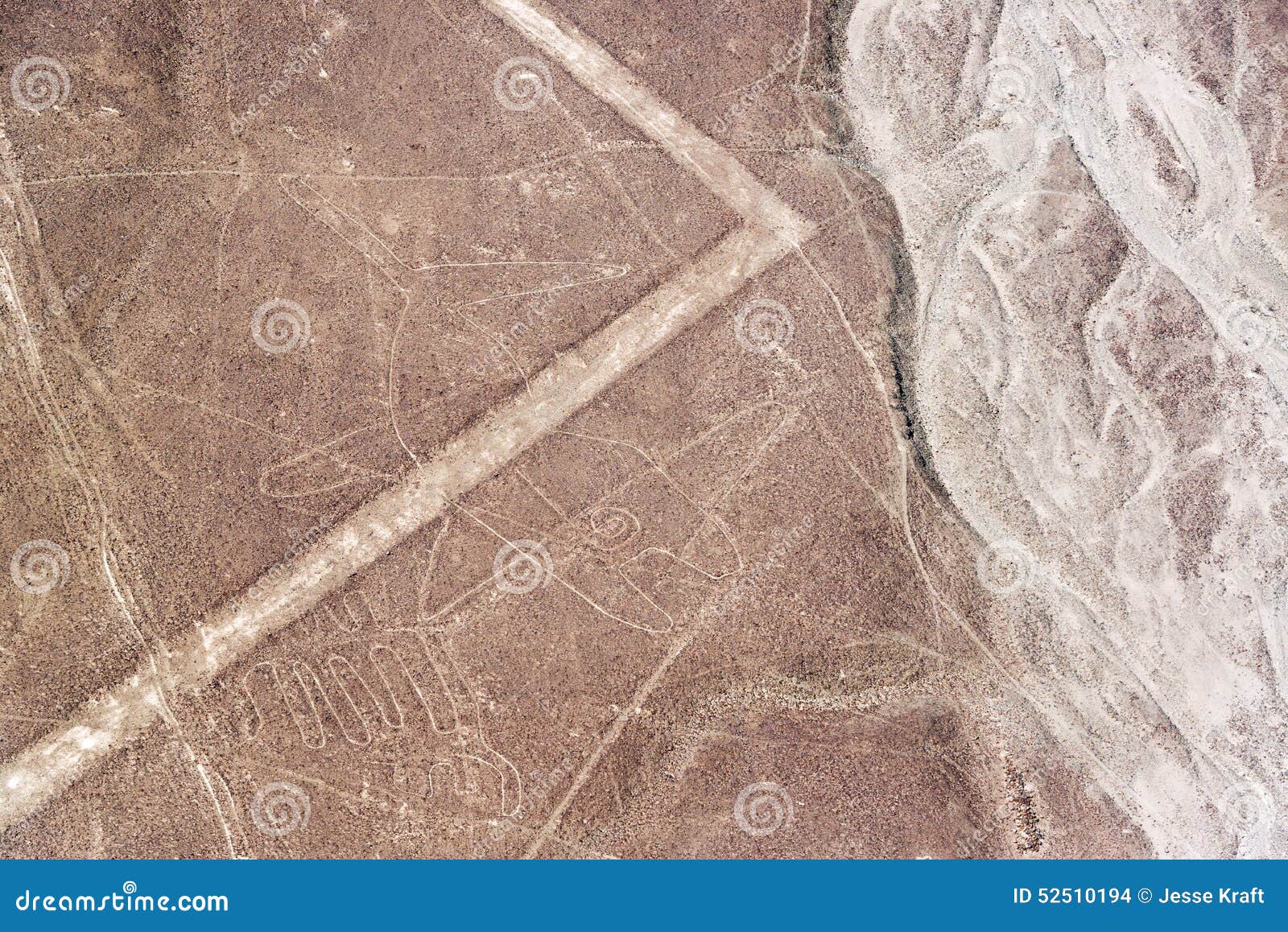 Nazca alinea la ballena foto de archivo. Imagen de misterio - 52510194