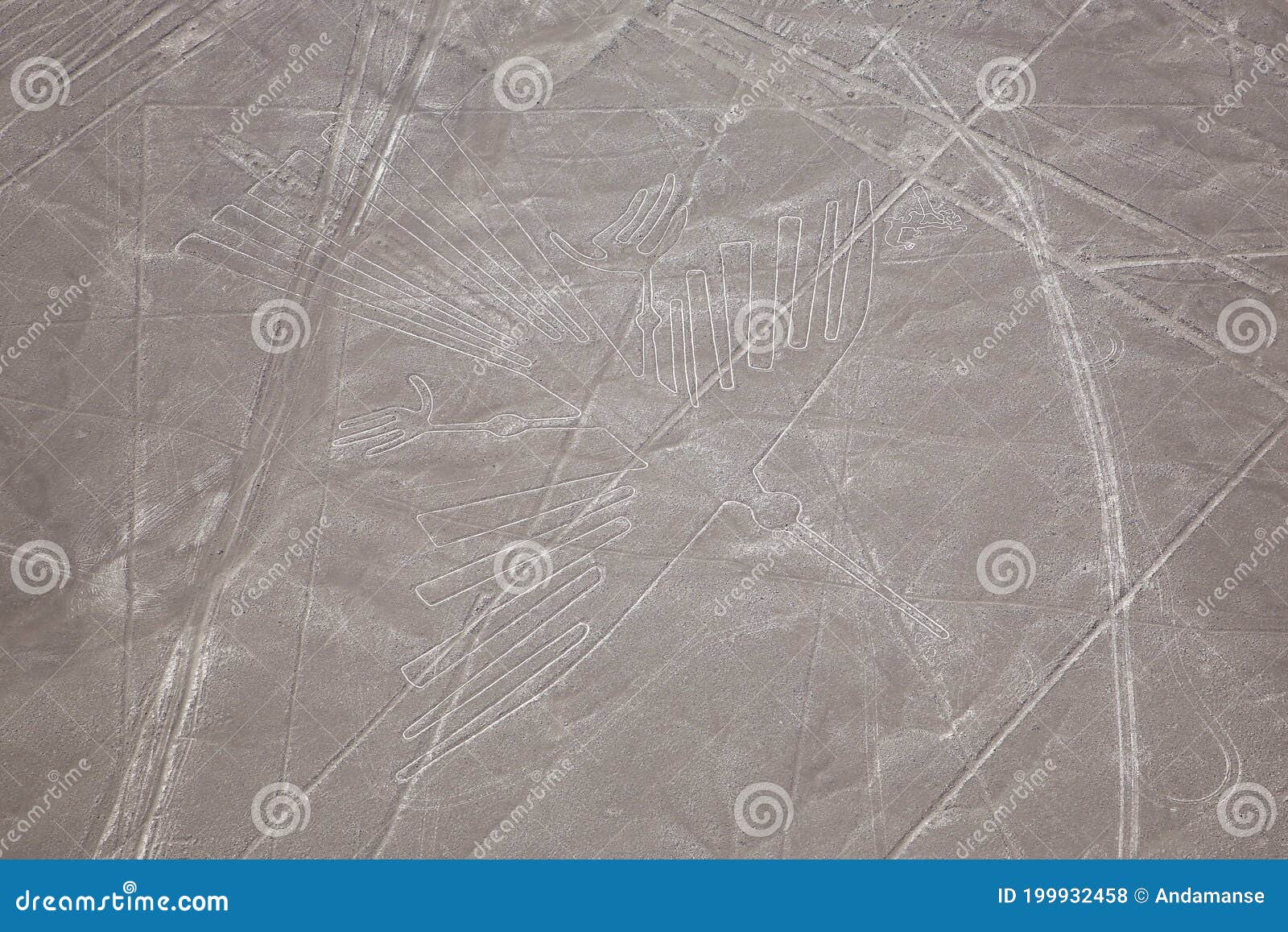 Condor Geoglyph Nazca Nazca Mysterious Lines Geoglyph Stock Image ...