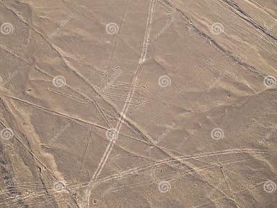 Nazca Lines stock image. Image of monkeys, desert, lizards - 3901591