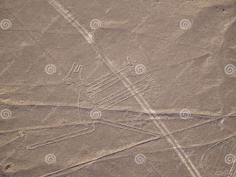 Nazca Lines stock photo. Image of geoglyphs, inca, monkeys - 3950822