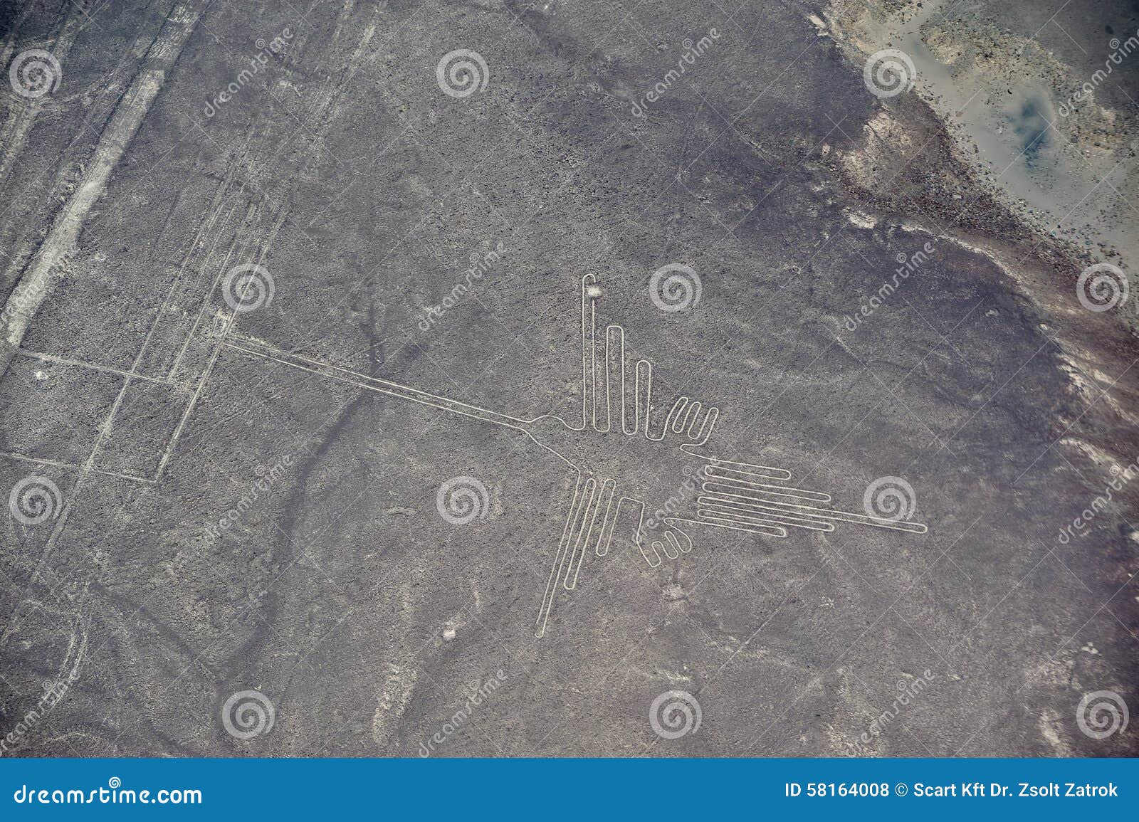 Nazca lines - the colibri stock photo. Image of geoglyphs - 58164008
