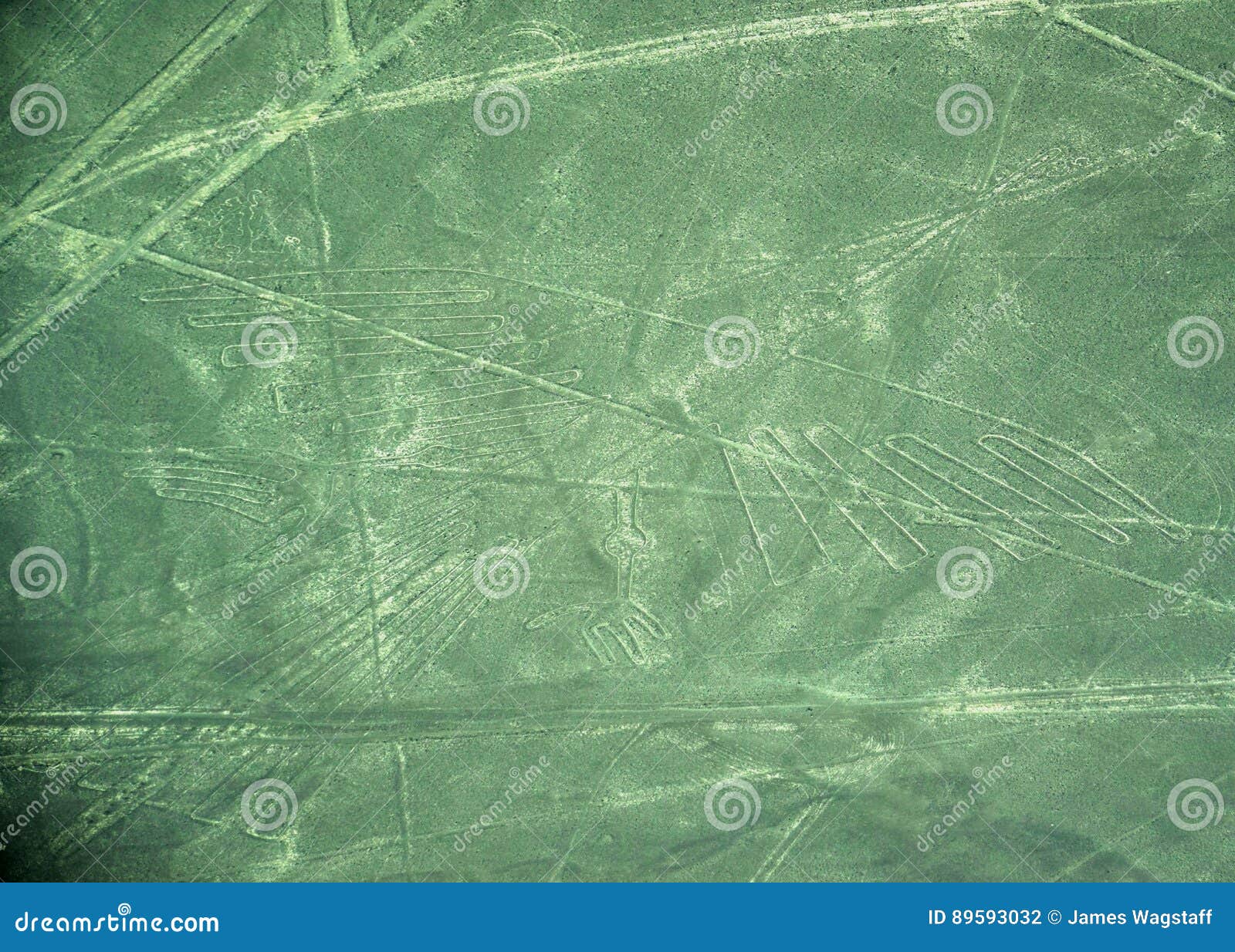 The Condor Line Of Nazca Lines Stock Image | CartoonDealer.com #25465801