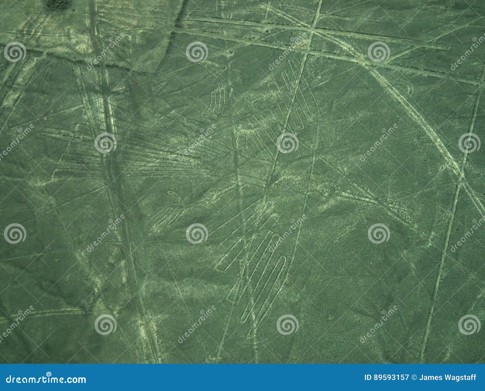The Condor Line Of Nazca Lines Stock Image | CartoonDealer.com #25465801
