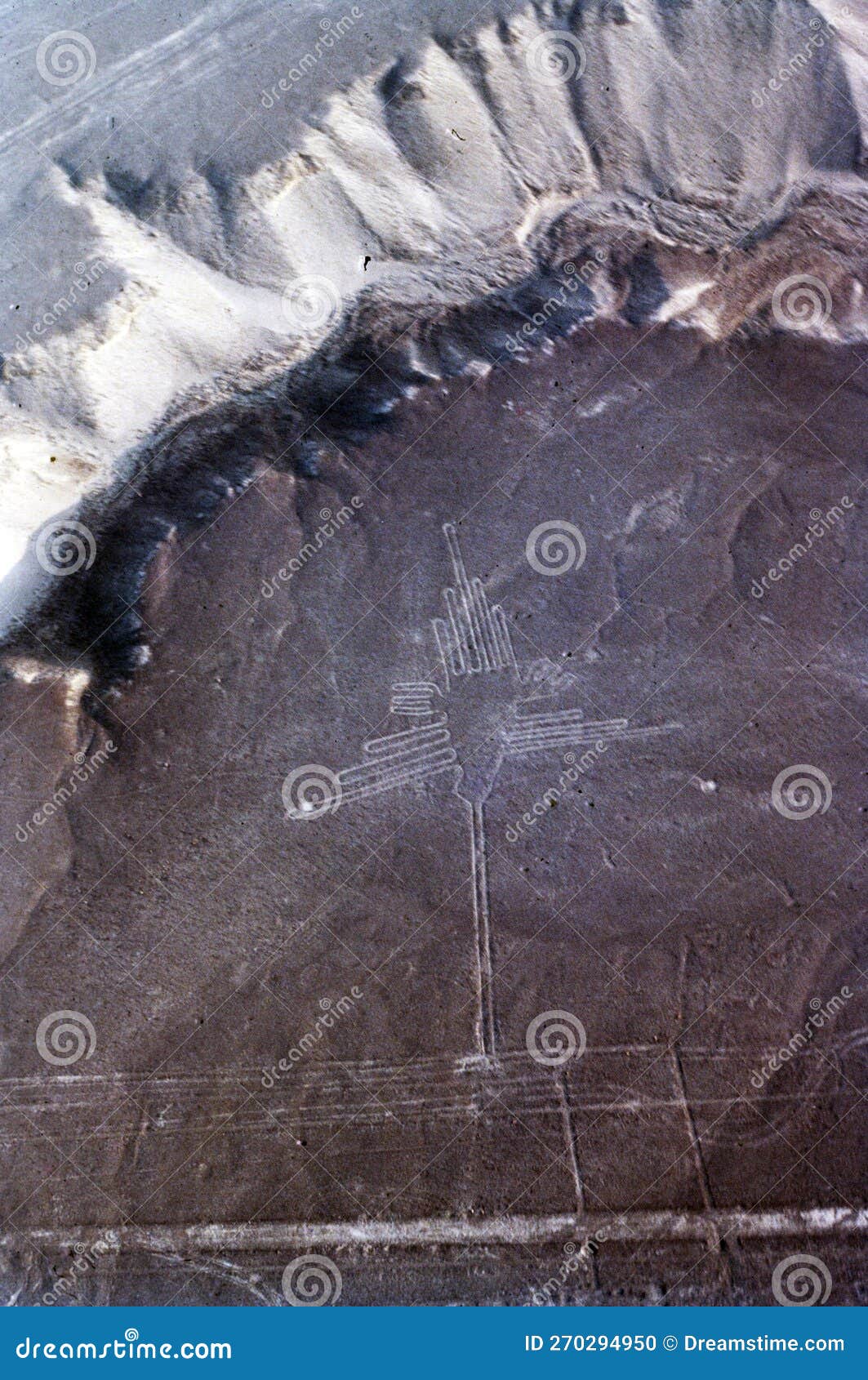 Nazca Lines Hummingbird in Peru Stock Photo - Image of nazca, viux ...