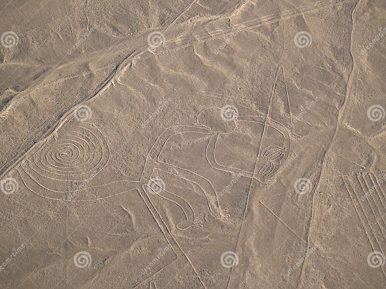 Nazca Lines (Monkey) stock photo. Image of aerial, landmark - 3901540