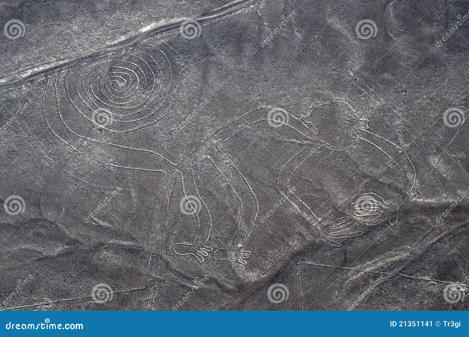 Nazca Lines - Monkey - Aerial View Stock Image - Image of dune, ancient ...
