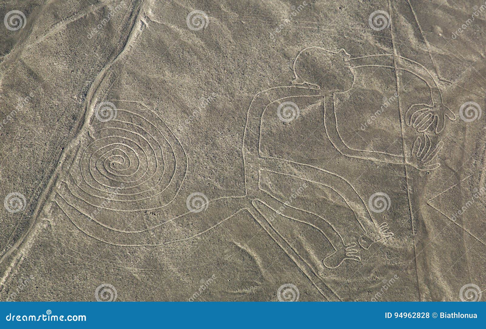 Nazca Lines - the Monkey stock photo. Image of travel - 94962828