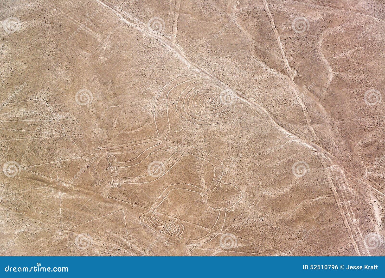 Nazca Lines Monkey Closeup stock photo. Image of vacation - 52510796