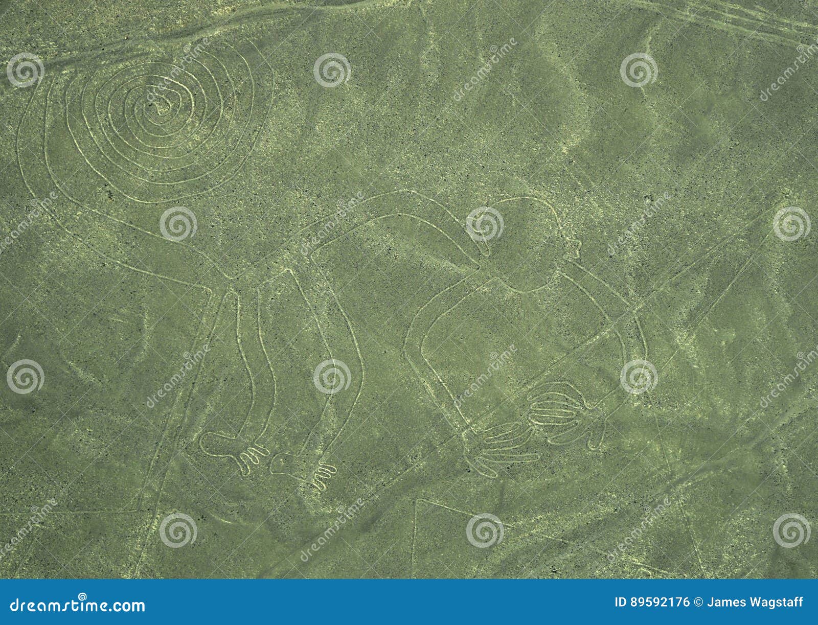 Nazca Lines: the Monkey stock photo. Image of archeology - 89592176