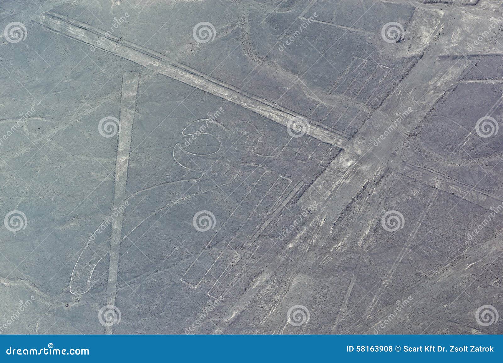 Nazca lines - the Parrot stock photo. Image of drawing - 58163908