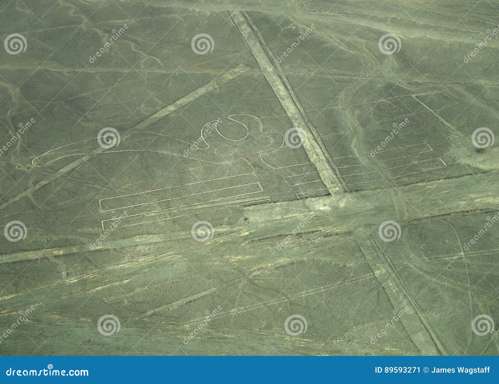 Nazca Lines: the Parrot stock image. Image of america - 89593271