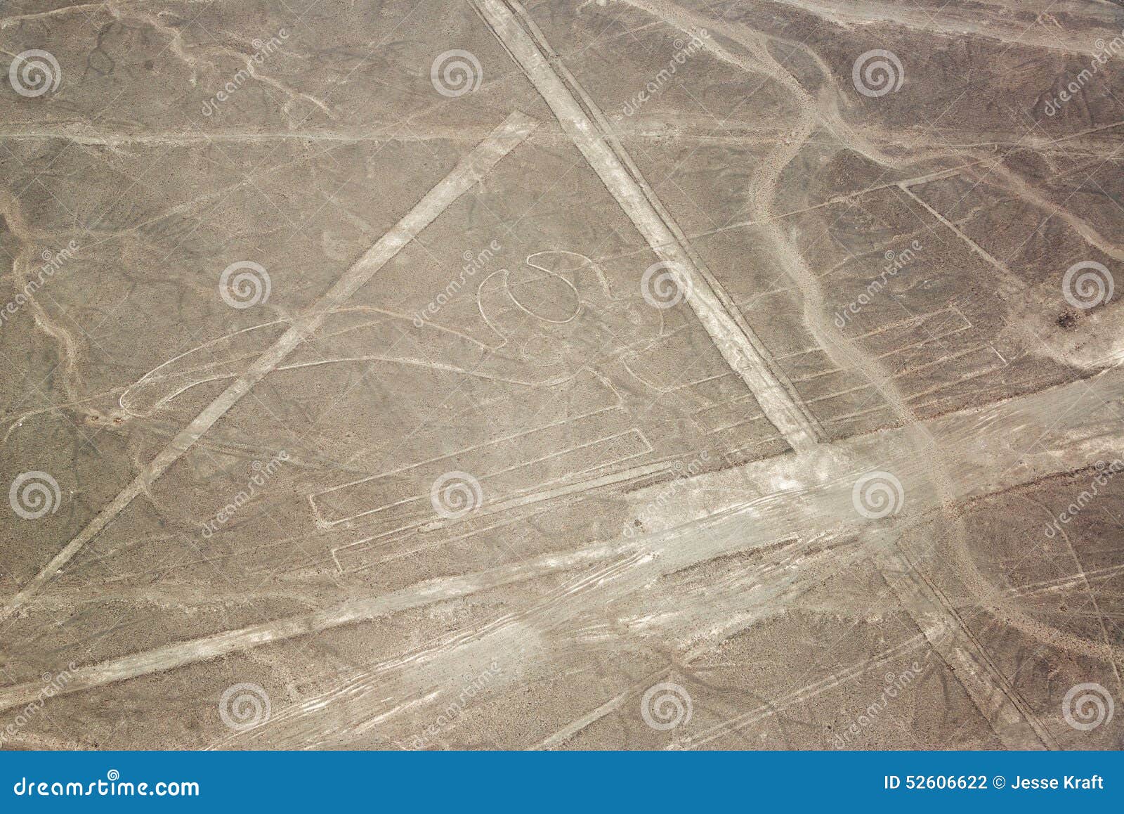 Nazca Lines Parrot stock photo. Image of flight, america - 52606622