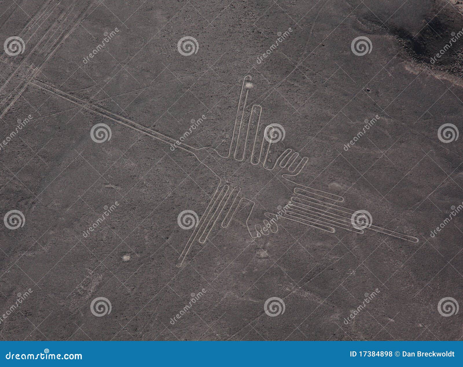 Nazca Lines in Peru stock photo. Image of nazca, inca - 17384898