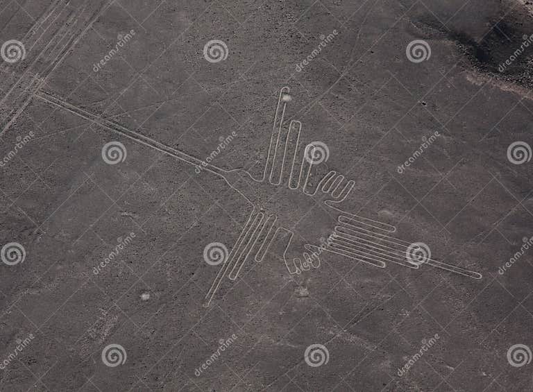 Nazca Lines in Peru stock photo. Image of nazca, inca - 17384898
