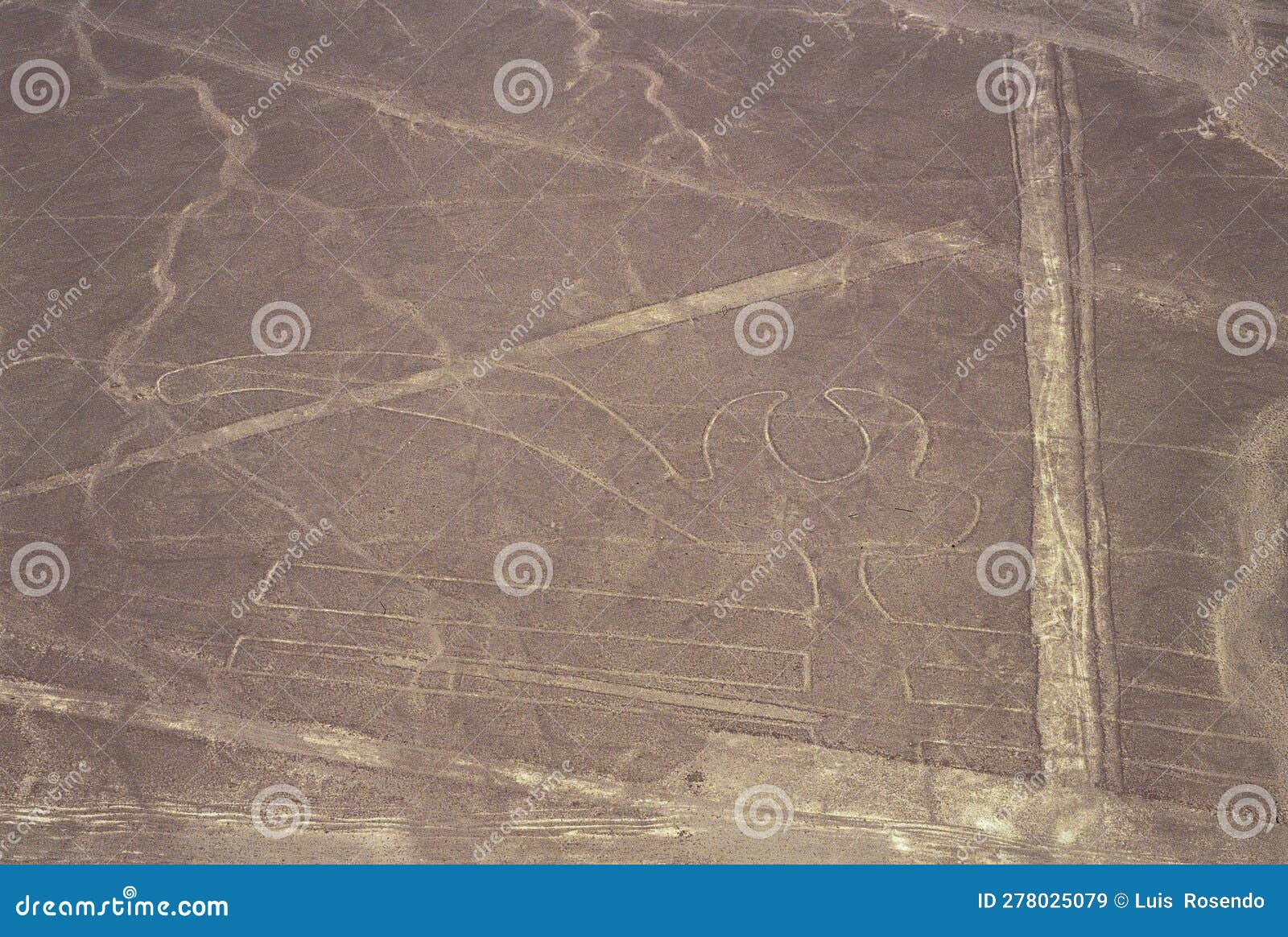 Nazca Lines,nazca Lines,peru Archeological Site,parrot Ruins Stock ...