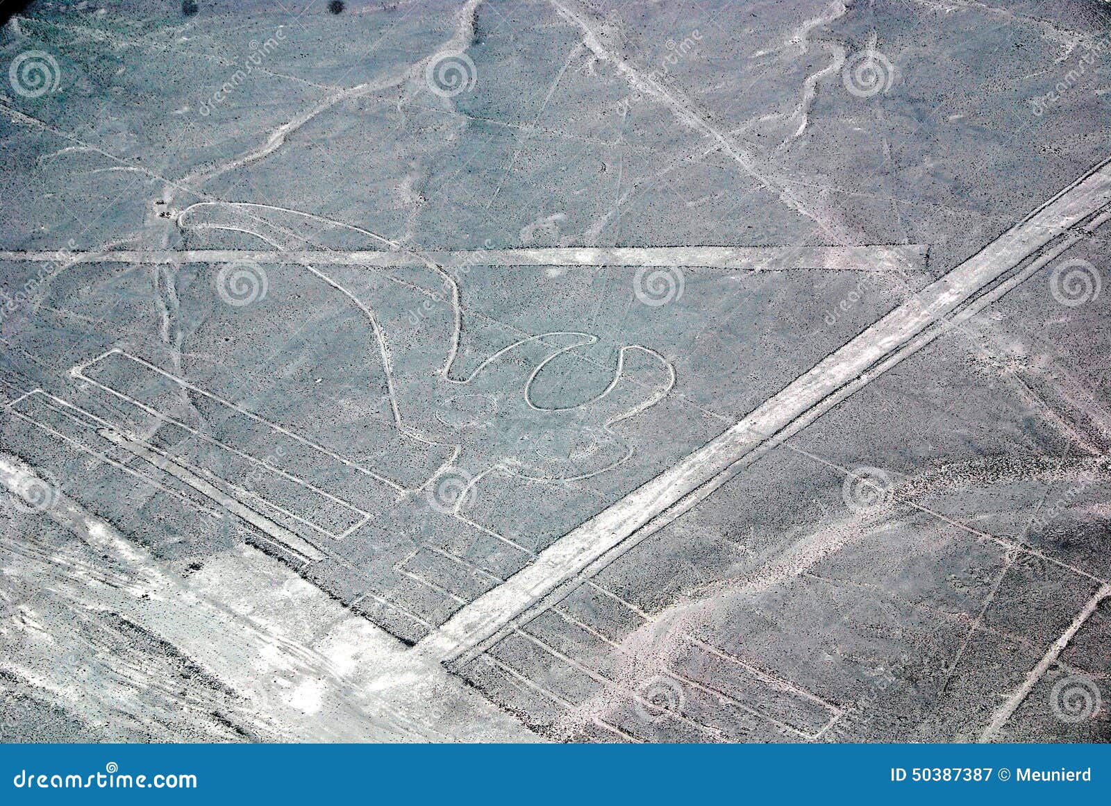 Nazca lines Peru stock image. Image of culture, bied - 50387387