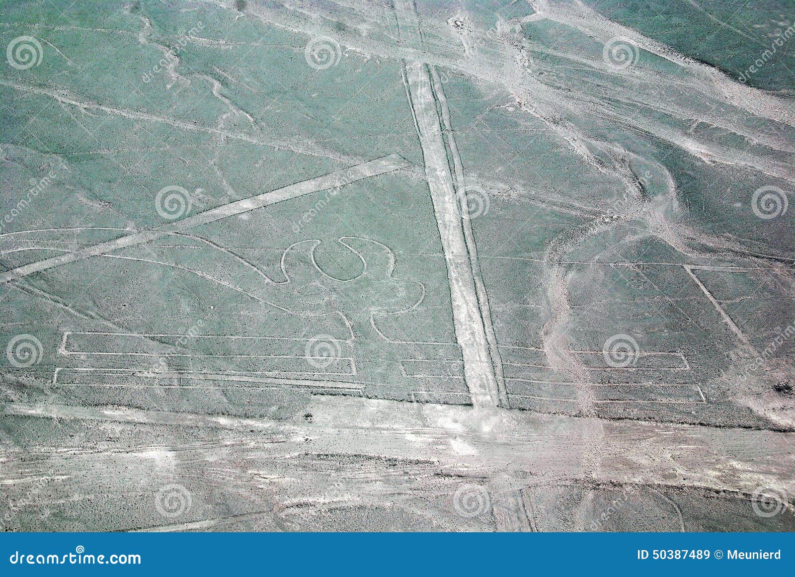 Nazca lines Peru stock image. Image of aerial, bied, desert - 50387489
