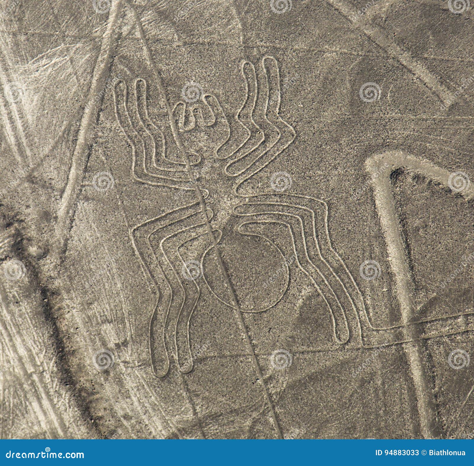 Nazca Lines - the Spider stock image. Image of design - 94883033