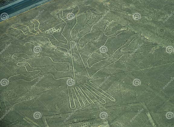 Nazca Lines: the Tree stock image. Image of civilization - 89593541