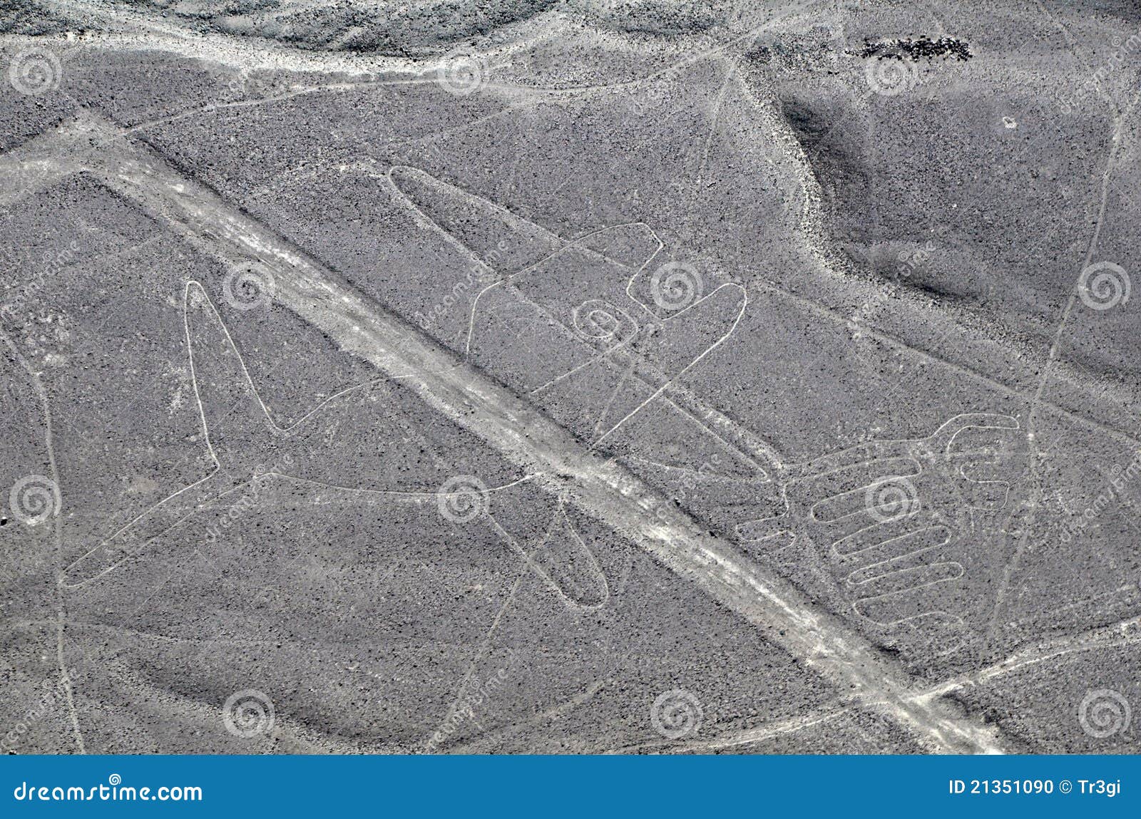 Nazca Lines - Whale - Aerial View Stock Photo - Image of dune ...