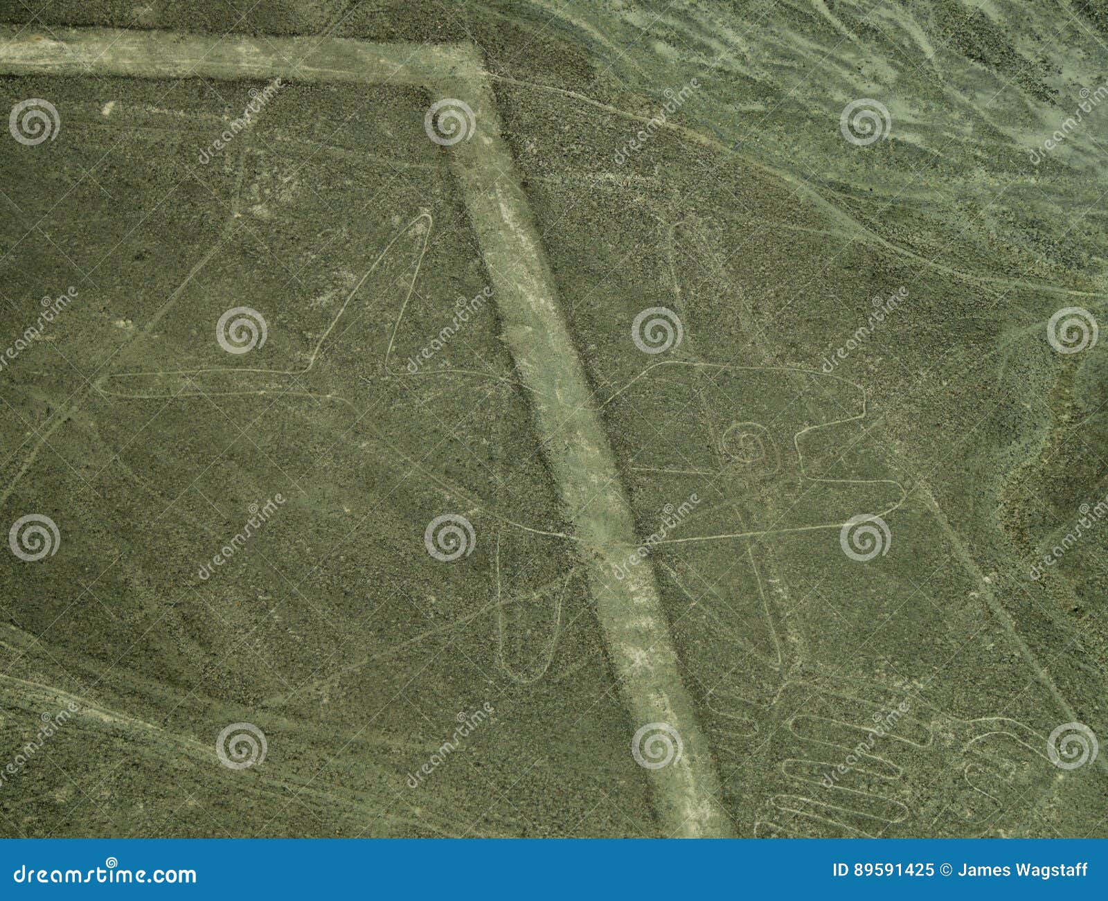Nazca Lines: the Whale stock image. Image of arial, geoglyphs - 89591425