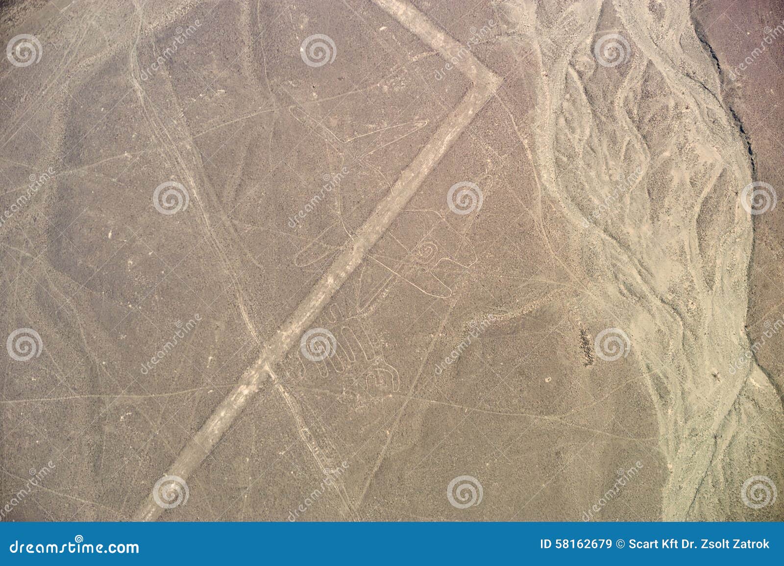 Nazca-Linien - der Wal stockbild. Bild von zeilen, peruanisch - 58162679