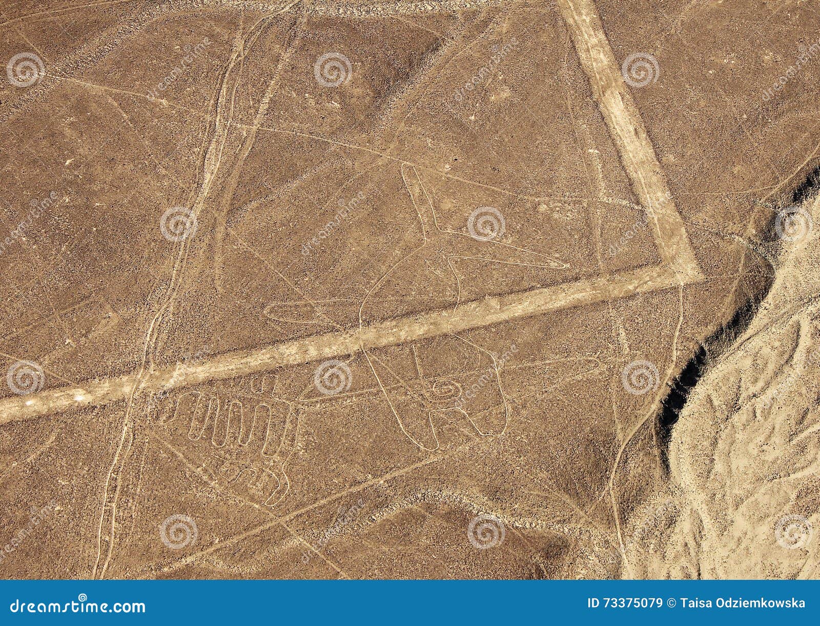 Nazca-Linien - Wal stockbild. Bild von tier, antenne - 73375079