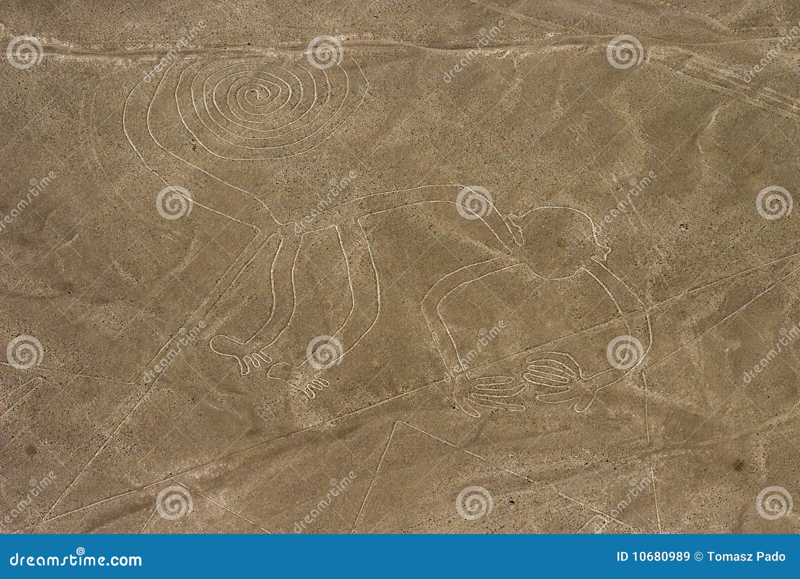 Nazca Monkey stock image. Image of mystery, lines, geoglyphs - 10680989