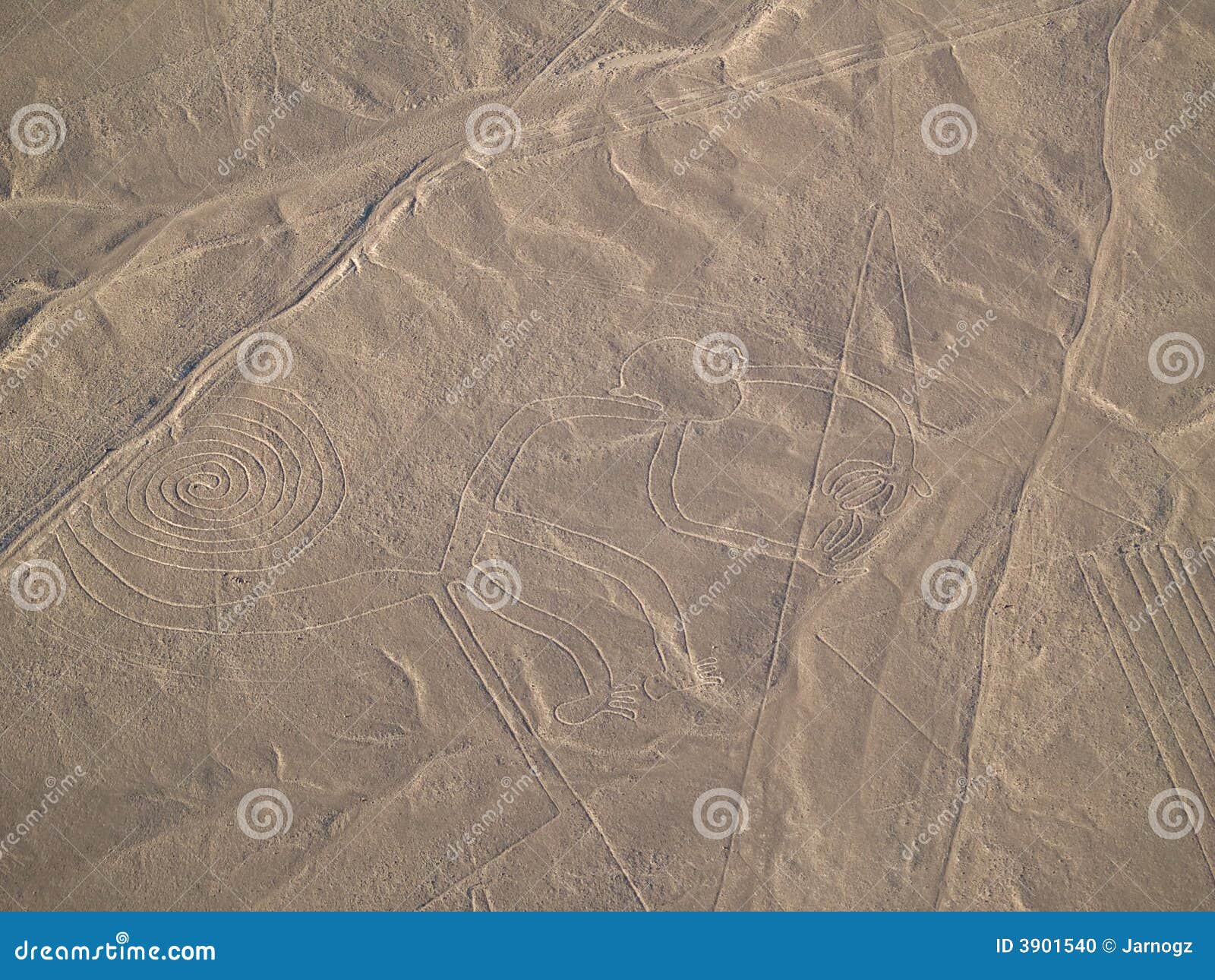 Nazca raye (le singe) photo stock. Image du aérien, lézards - 3901540