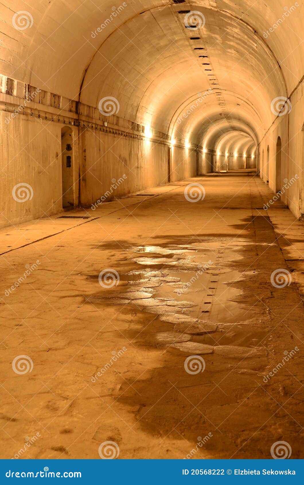 Nazi Bunker in Stepina, Poland Editorial Photography - Image of nazi ...