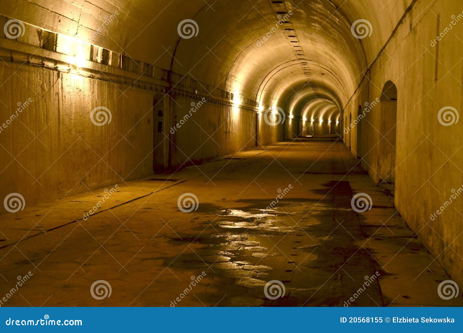 Nazibunker in Stepina, Polen Redaktionelles Bild - Bild von enorm ...