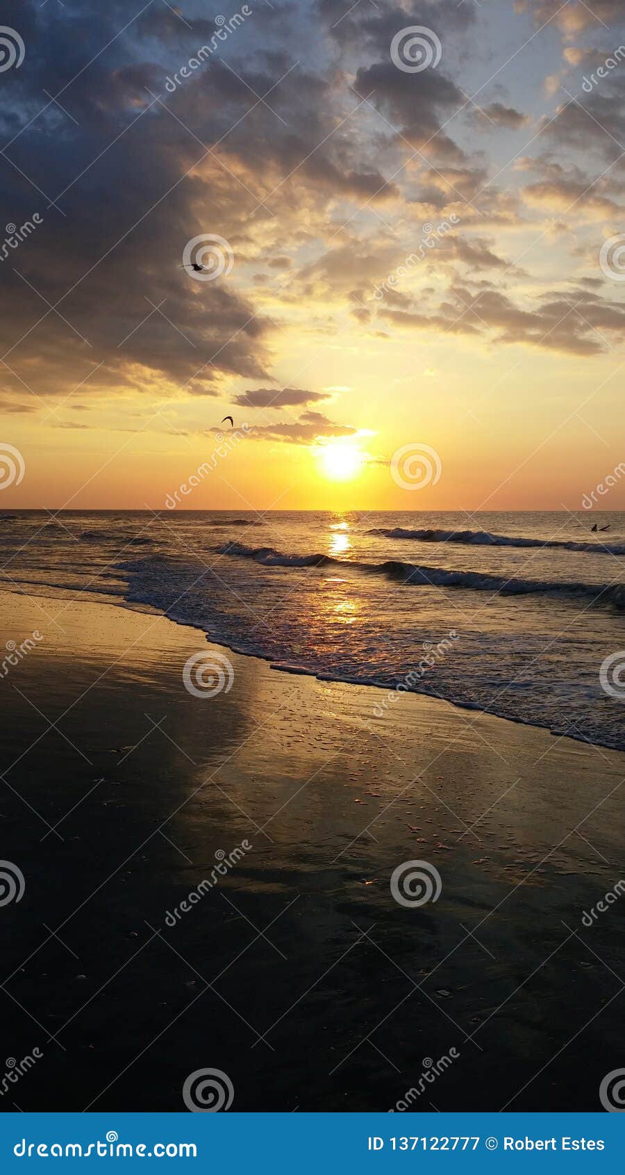 NC beaches stock image. Image of southern, sunrise, beaches - 137122777