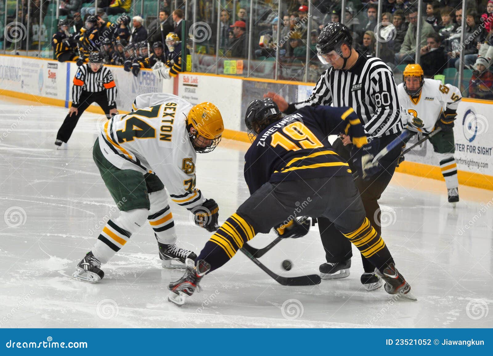NCAA Ice Hockey Game in Clarkson University Editorial Photography ...