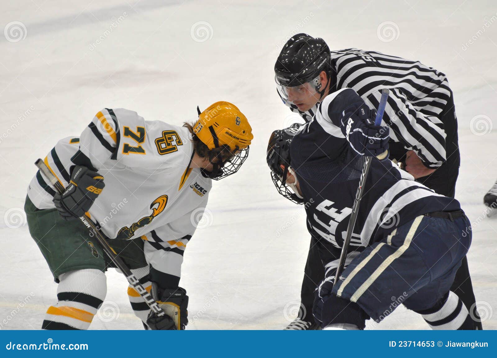 NCAA Ice Hockey Game in Clarkson University Editorial Stock Photo ...
