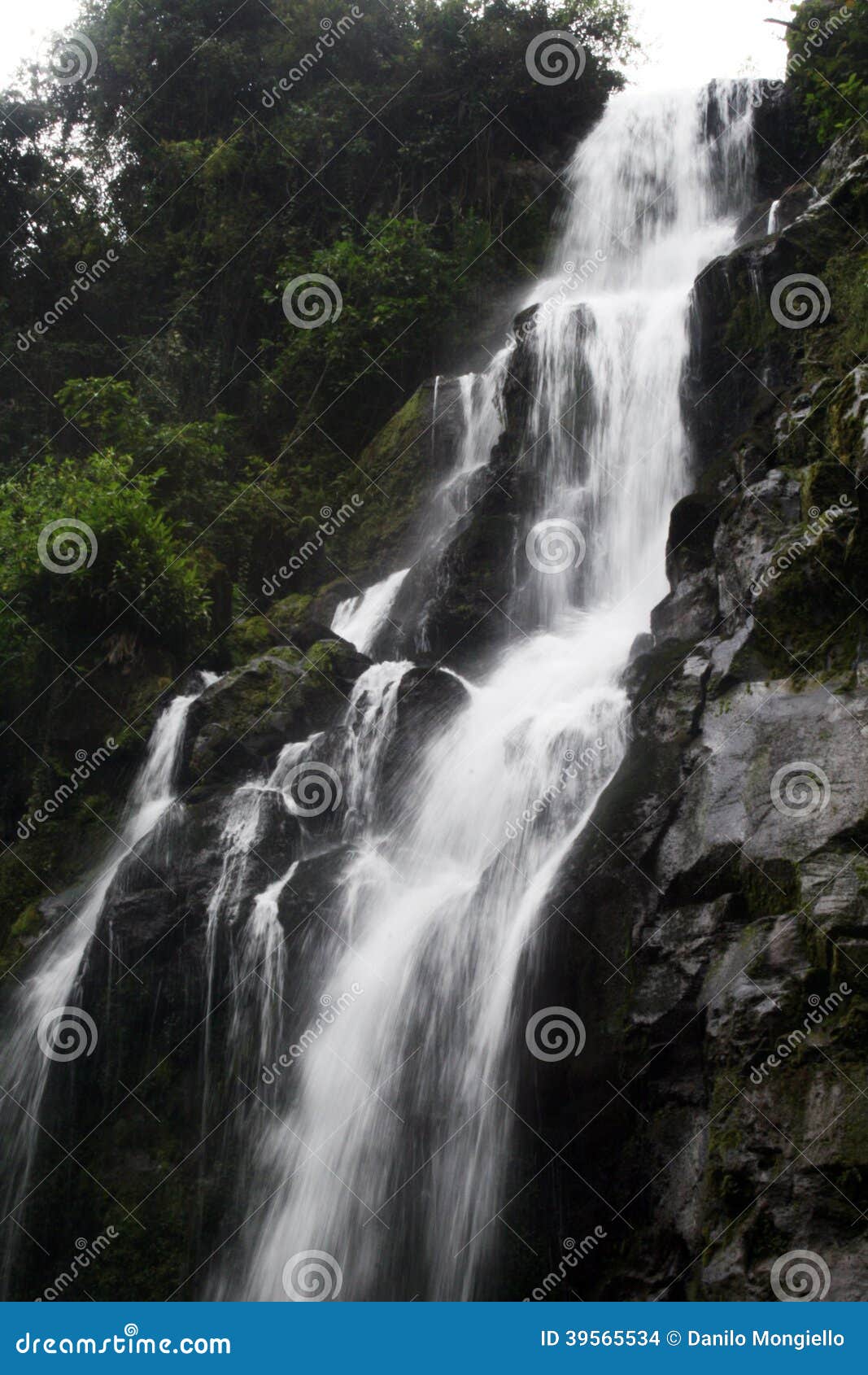 Ndoro falls stock photo. Image of ndoro, nature, tourism - 39565534