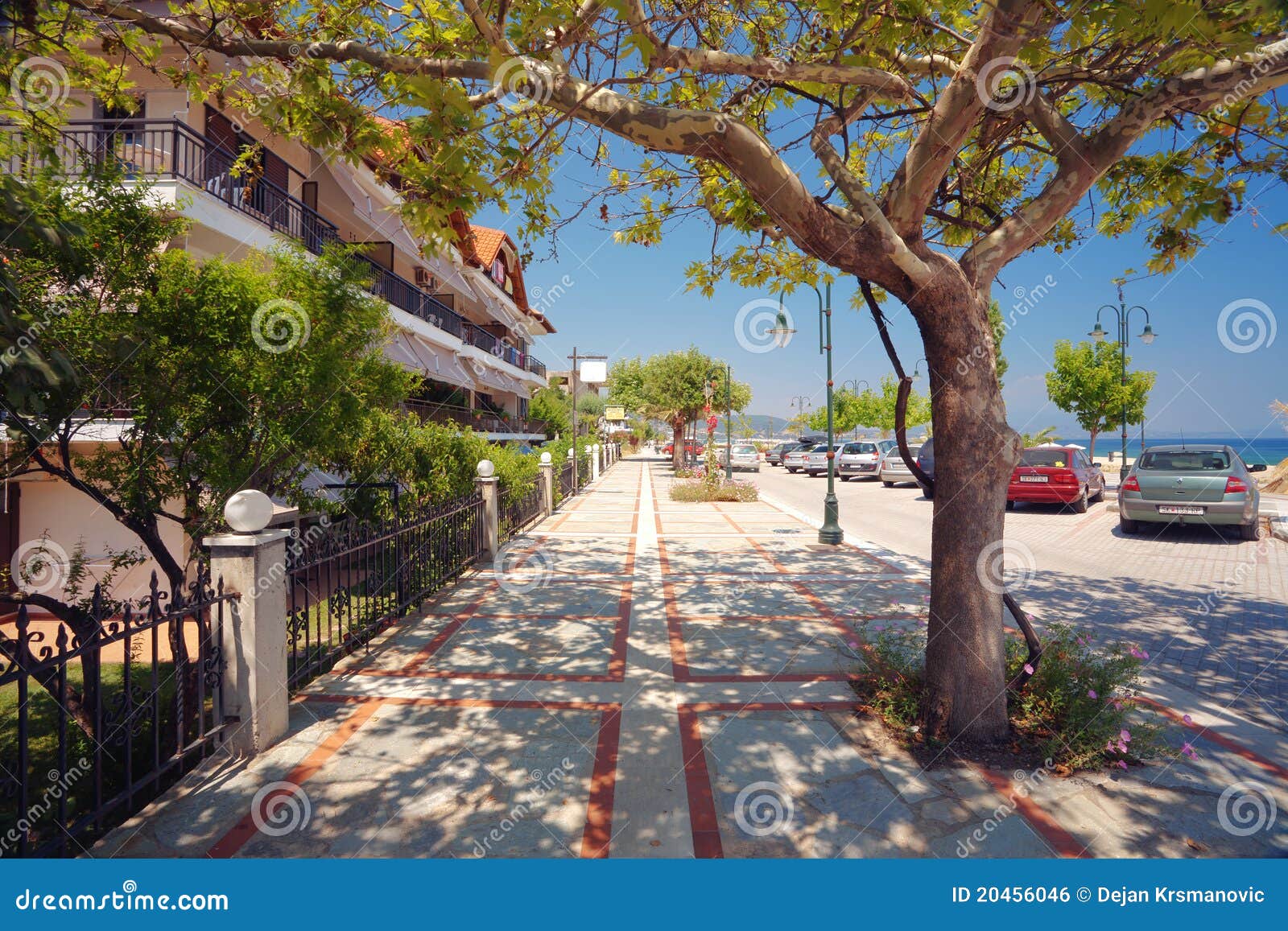 Nea Vrasna, Greece editorial photo. Image of summer, plants - 20456046