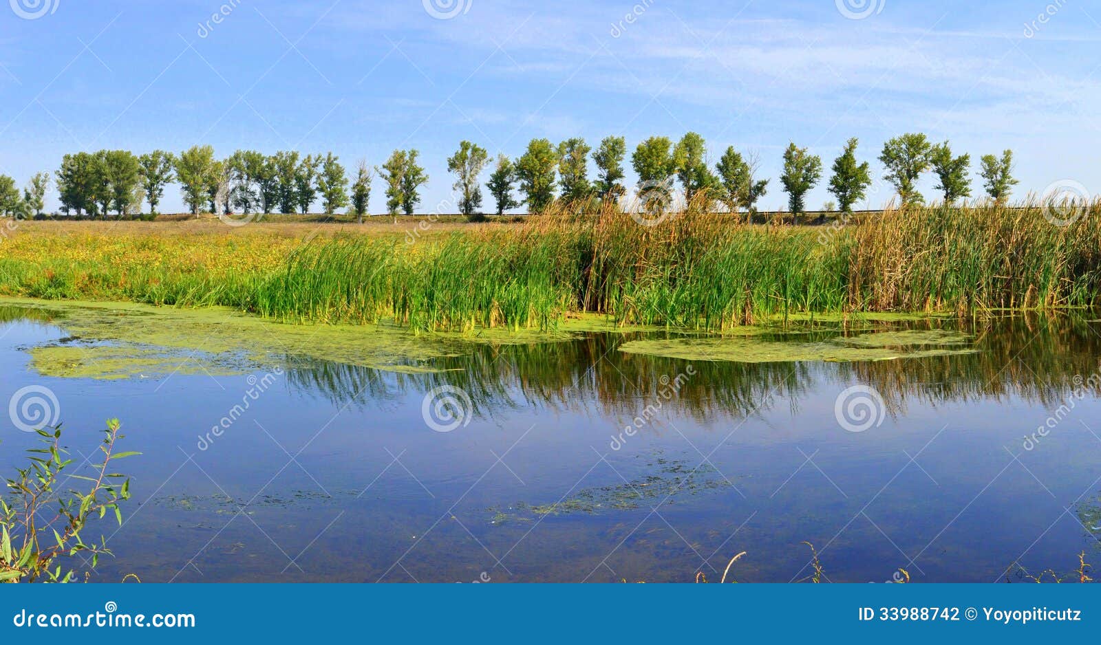 Neajlov delta zdjęcie stock. Obraz złożonej z scena, życie - 33988742