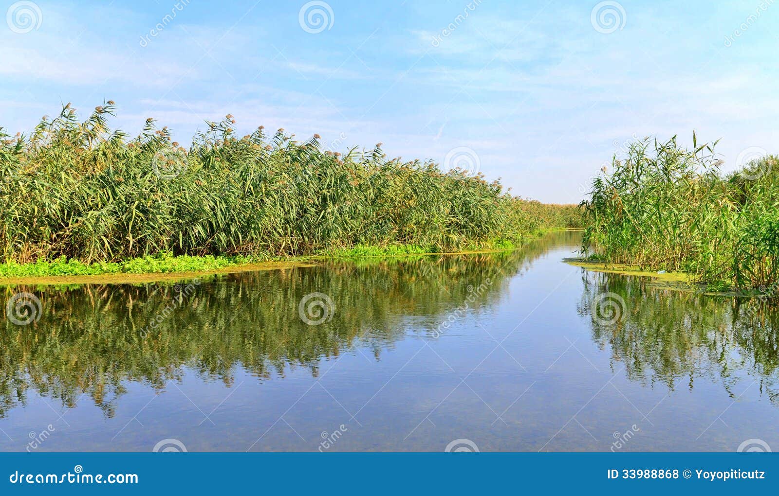 Neajlov delta stock photo. Image of romania, environment - 33988868