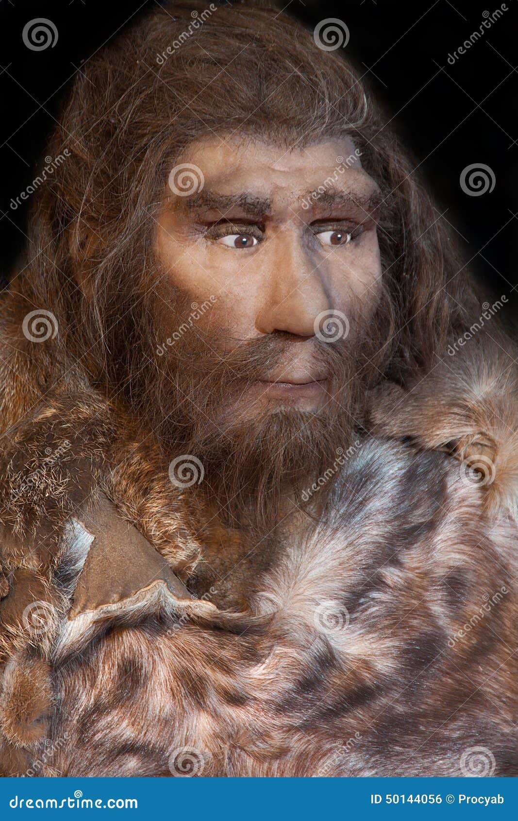 The Neanderthal Man Stock Image | CartoonDealer.com #139200499