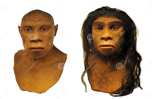 Neanderthal man face stock image. Image of prehistoric - 16522197