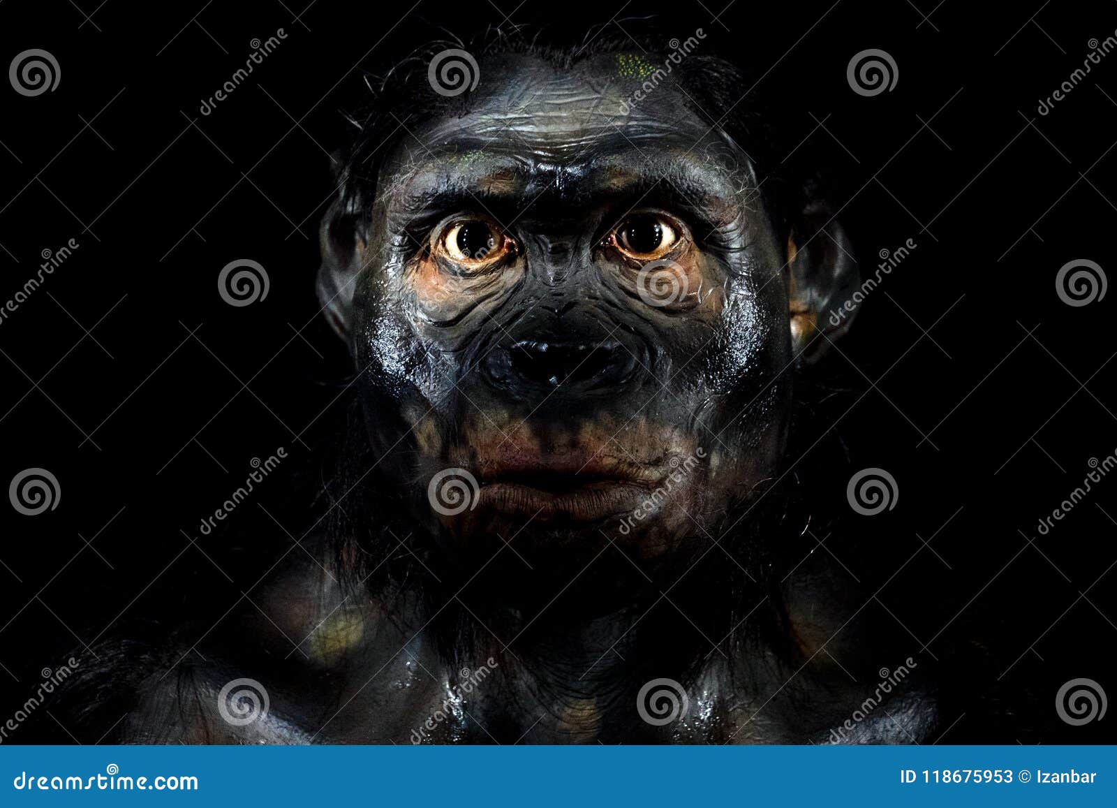 Neanderthal Man Isolated on Black Stock Image - Image of human ...