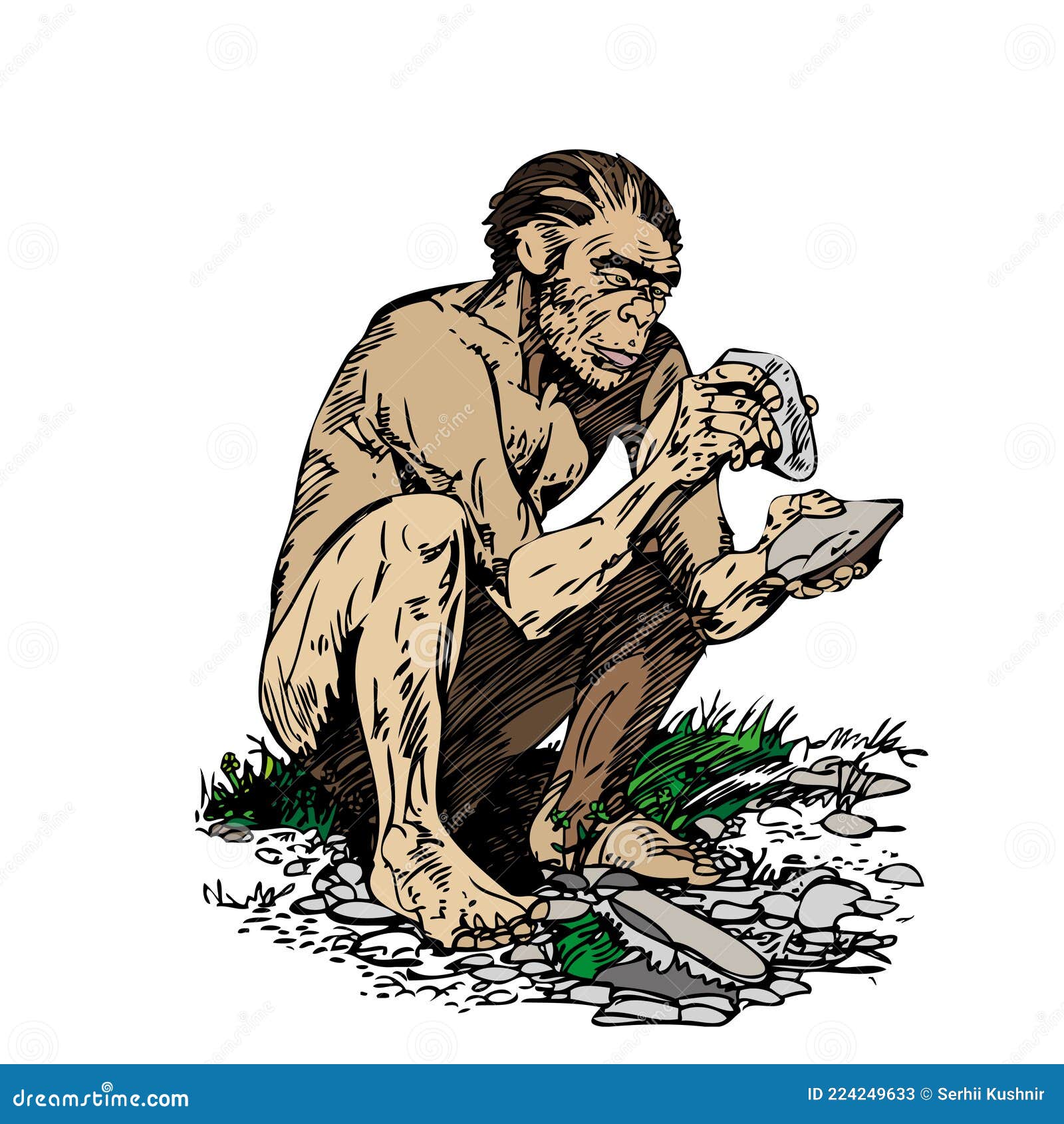 Neanderthal Man & X28;Homo Sapiens Neanderthalensis& X29;. Stock Vector ...